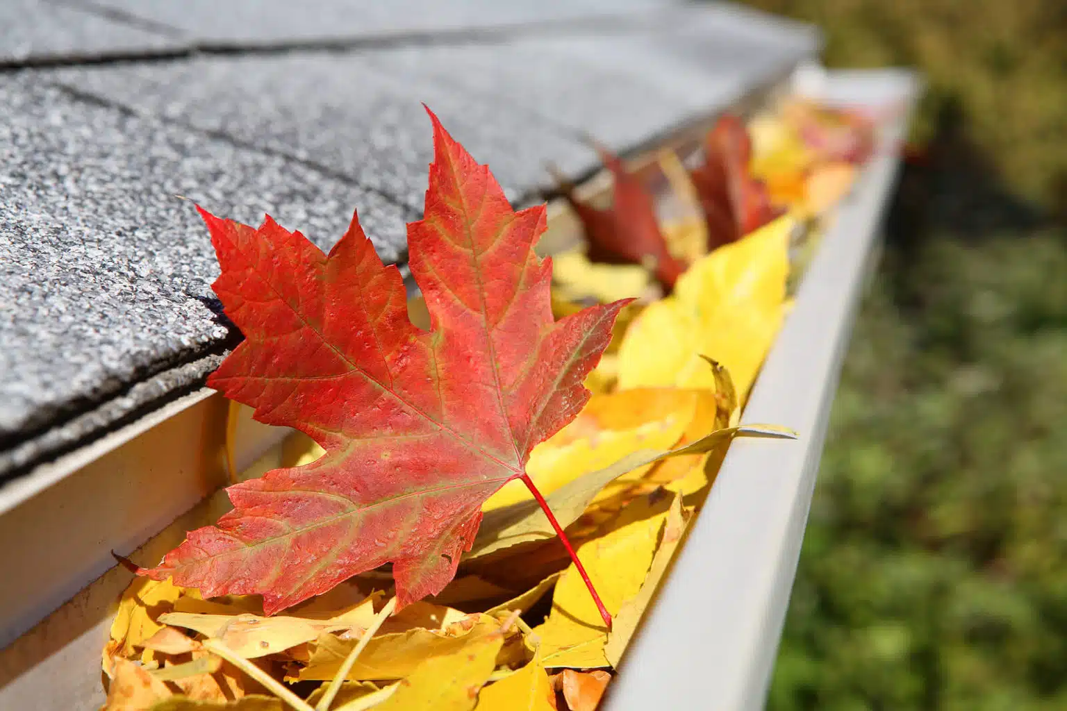 Install Gutter Protection Before Summer Arrives